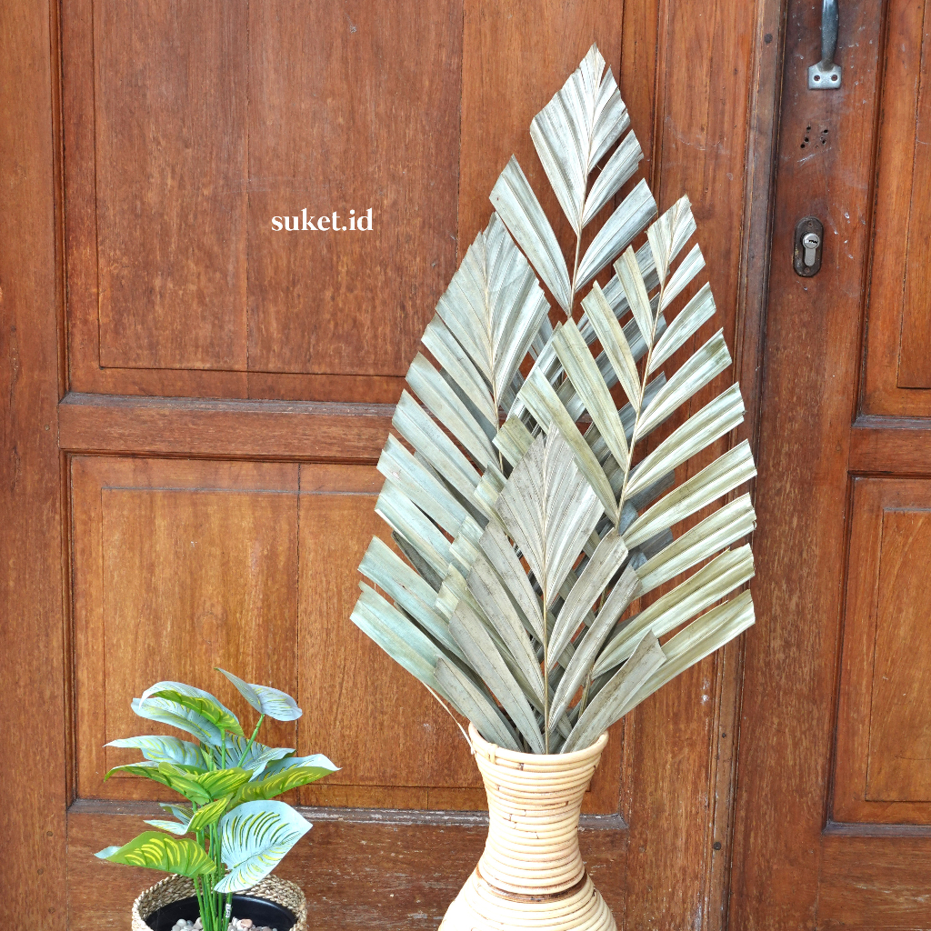 Jual Daun Kering Dekorasi Rustic (Daun Palem Salak) | Shopee Indonesia