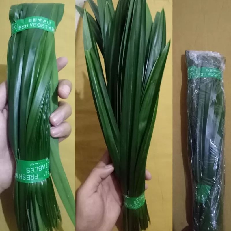 Jual daun pandan wangi segar per ikat | Shopee Indonesia