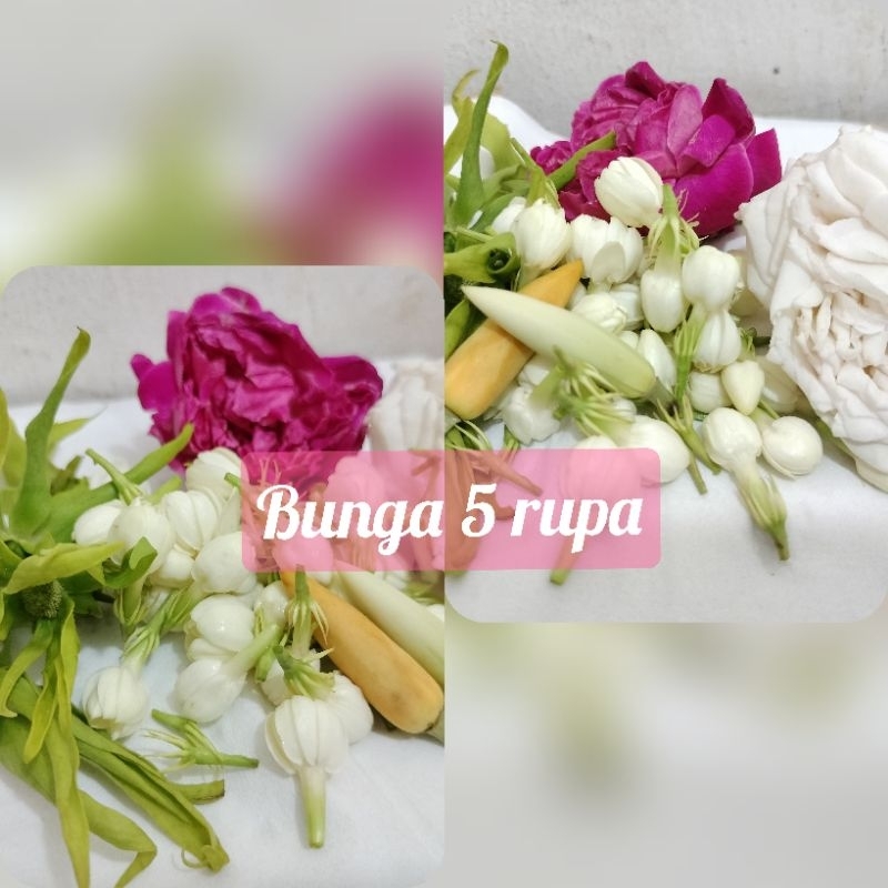 Jual bunga setaman kembang 5 rupa wangi paket murah | Shopee Indonesia