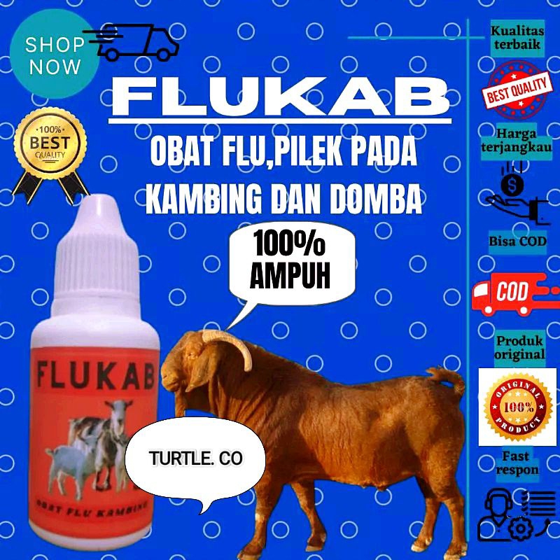Jual Obat Batuk Pilek Kambing Domba Super Ampuh | Shopee Indonesia