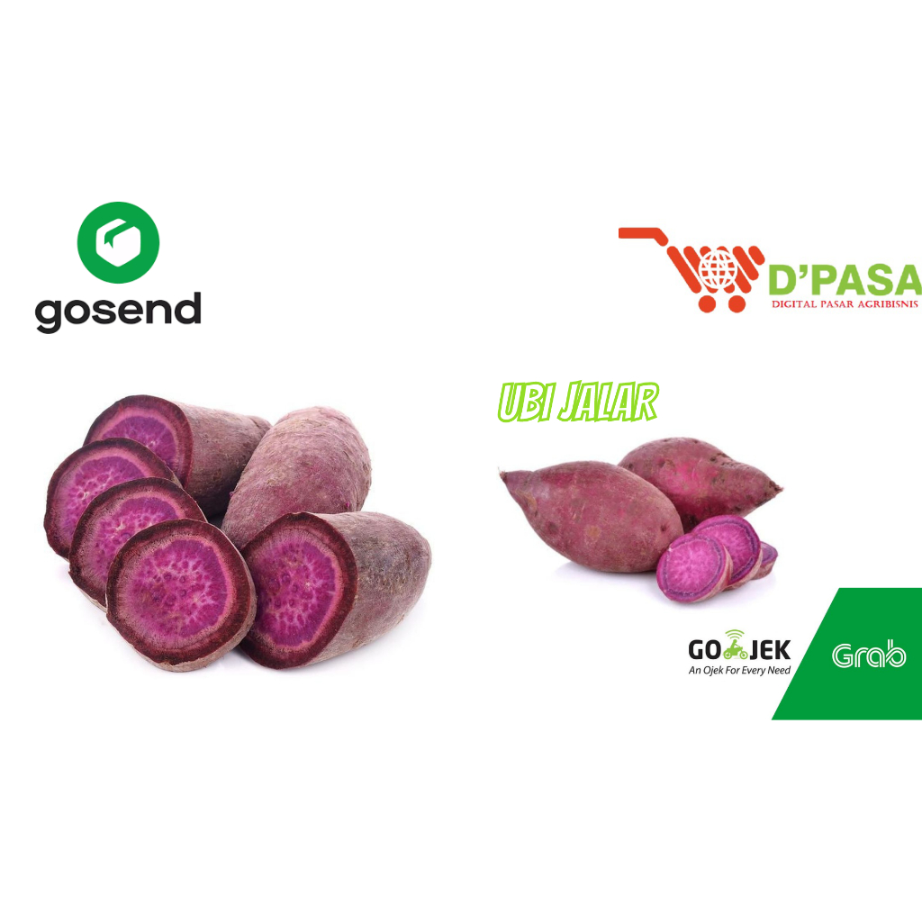 Jual KIRIM INSTAN Ubi Ungu Mentah 1Kg Fresh | Shopee Indonesia