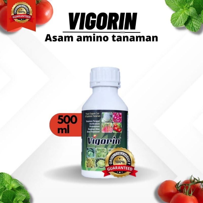 Jual Vigorin 500 ml | Shopee Indonesia
