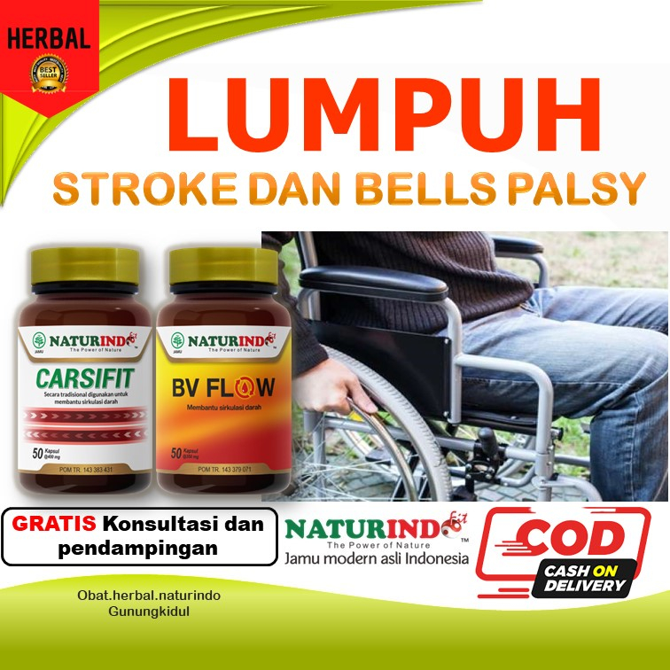 Jual Obat Stroke Ringan Herbal Lumpuh Struk Bells Palsy Strok Setrok ...