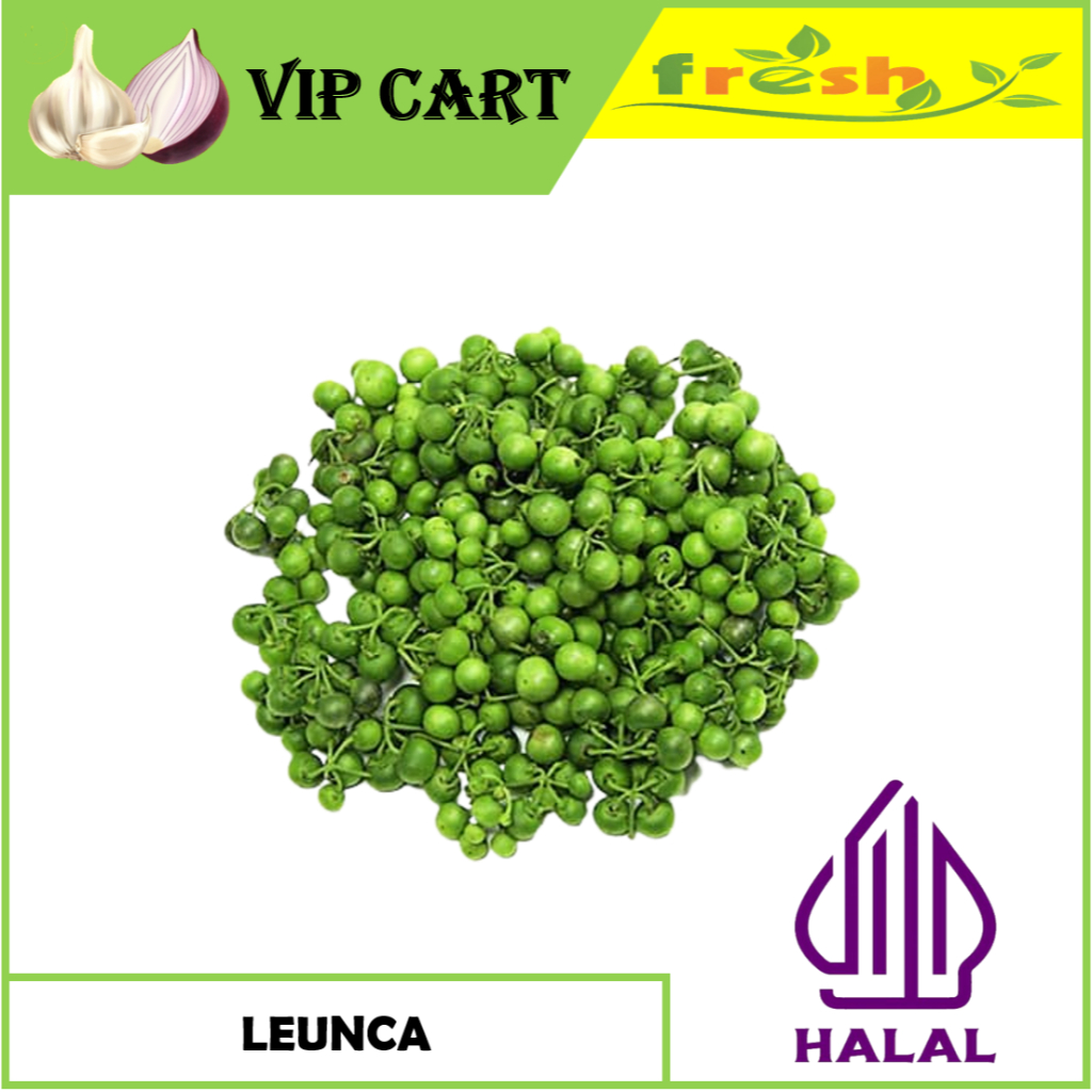 Jual SAYUR SEGAR SERBA 5RB - LENCA / RANTI | Shopee Indonesia