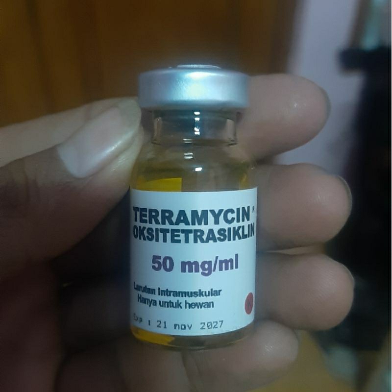 Jual teramycin obat ayam sakit obat ayam terkena jalu | Shopee Indonesia