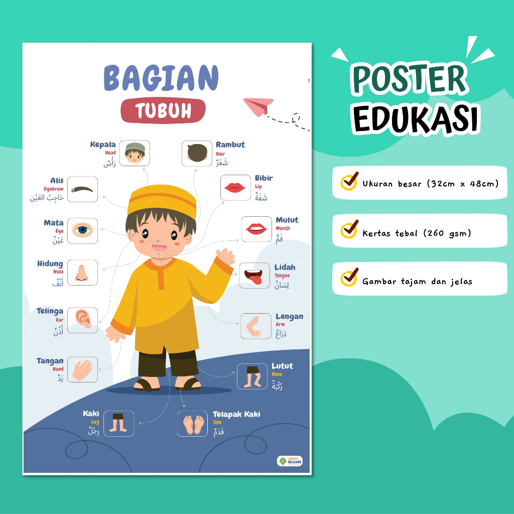 Jual Poster Belajar Mengenal Anggota Badan Anak Laki Laki Muslim ...