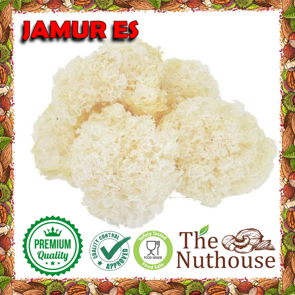 Jual 1pc / 1 biji (+-30g) Jamur Es Super/ Jamur Salju / Snow White ...