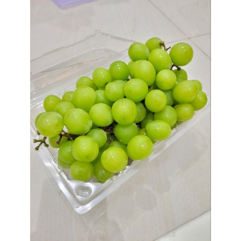 Jual Green SHINE MUSCAT 520 Gr Manis Ukuran Besar | Shopee Indonesia