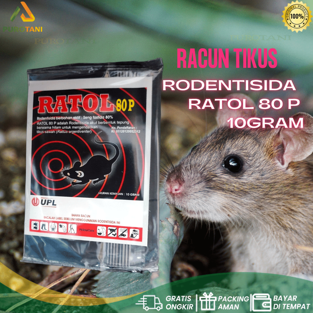 Jual Rodentisida racun tikus RATOL 80P 10gram | Shopee Indonesia