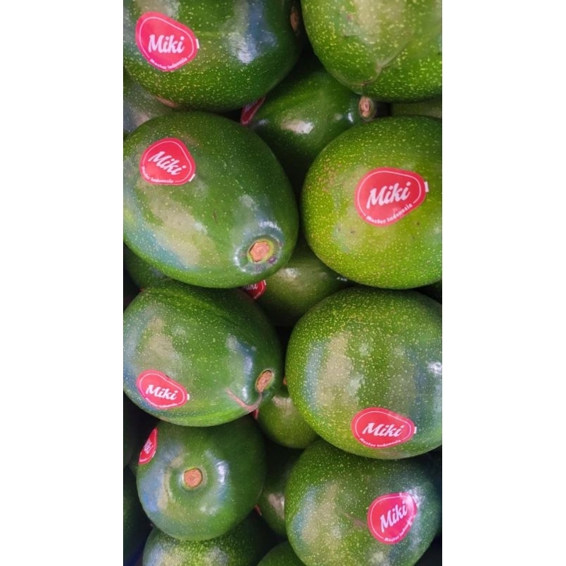 Jual Alpukat mentega miki cipedak asli premium stiker 1kg | Shopee ...