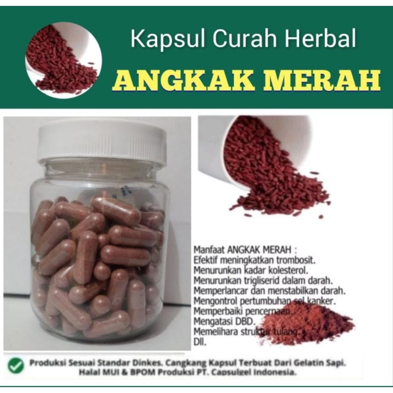 Jual ANGKAK MERAH 100 kapsul Curah Herbal TROMBOSIT KOlESTROl Mengatasi ...