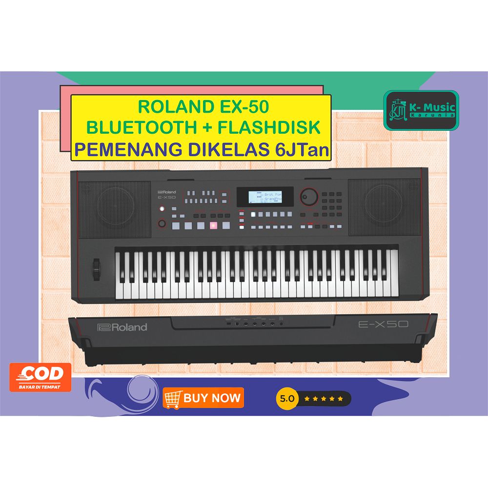 Jual Roland E-X50 EX-50 EX50 keyboard Arranger USB Flashdisk the best input Microphone Bluetooth ...