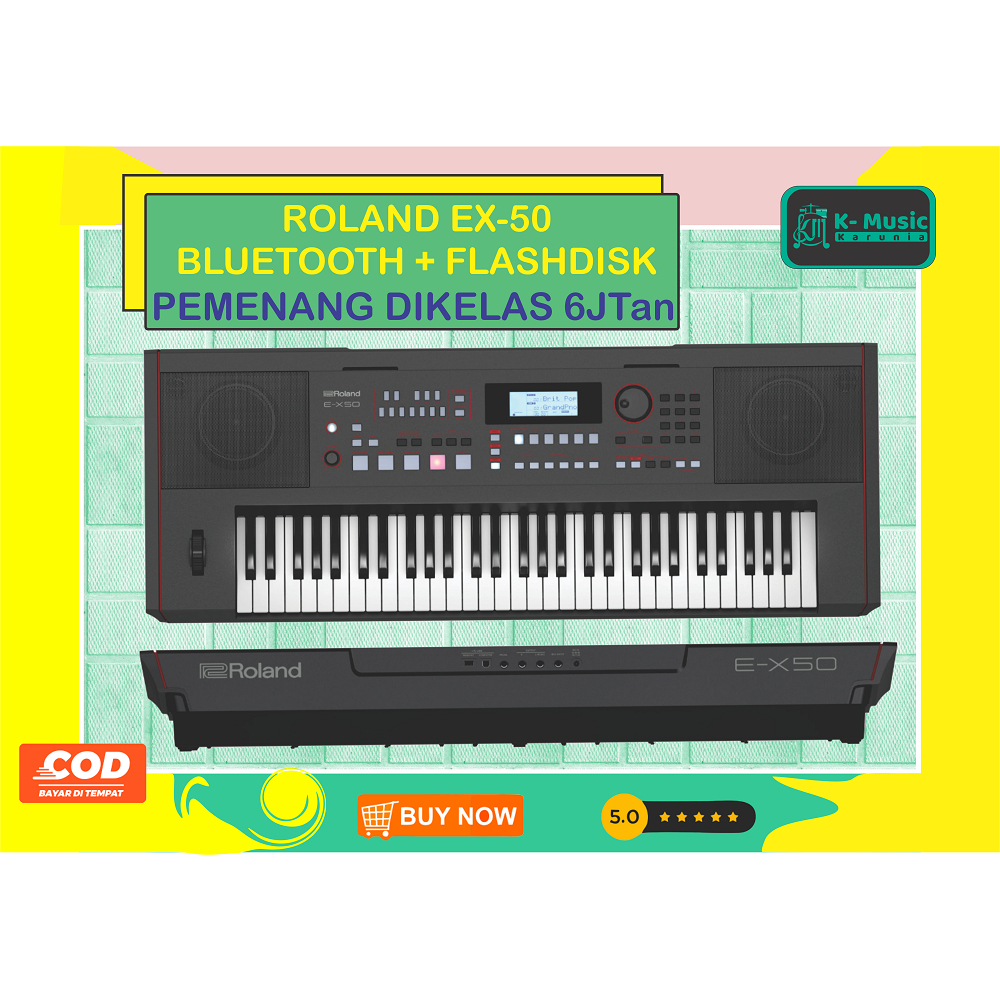 Jual Arranger keyboard Roland E-X50 EX-50 EX50 USB Flashdisk input ...