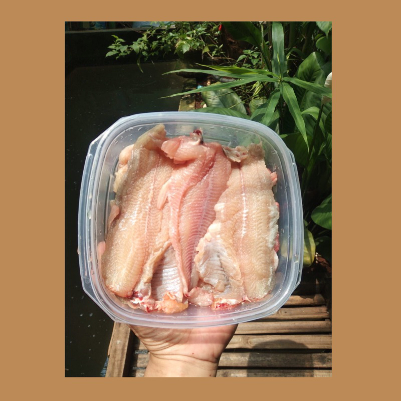 Jual Lele fillet frozen / lele fillet 500g | Shopee Indonesia