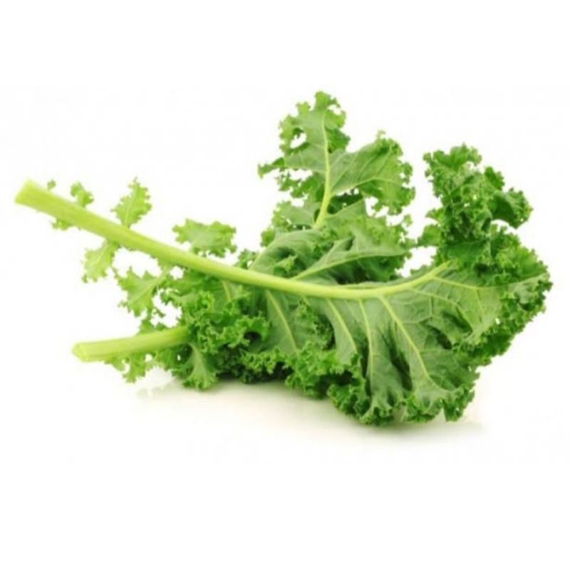 Jual sayur kale 500grm | Shopee Indonesia