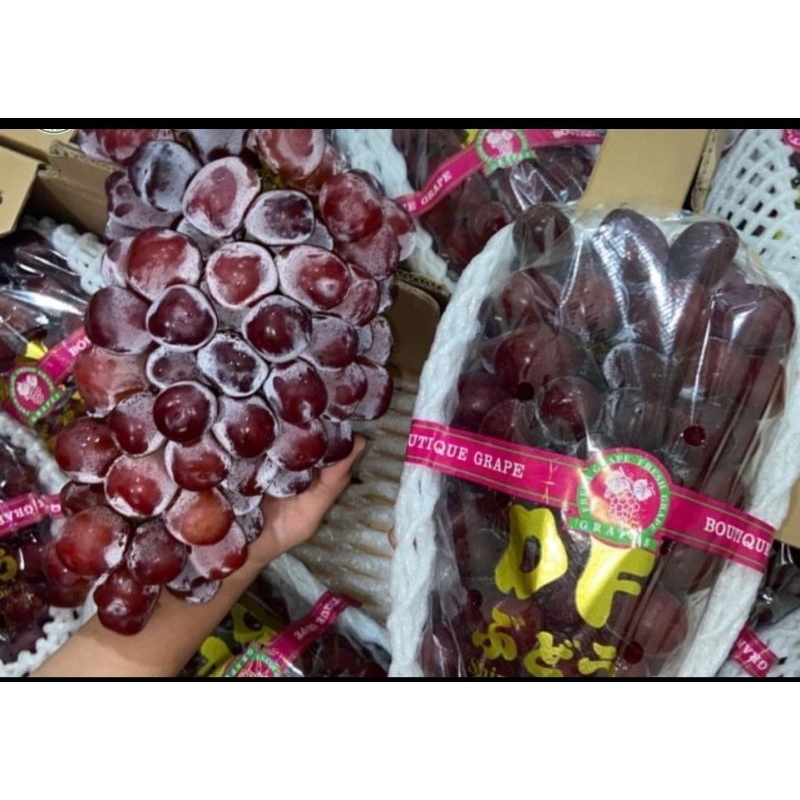 Jual Anggur shine muscat merah 1,1 kg | Shopee Indonesia