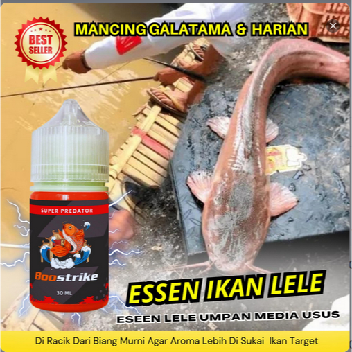 Jual Essen Ikan Lele Harian & Lomba Galatama Induk/Babon Media Umpan ...