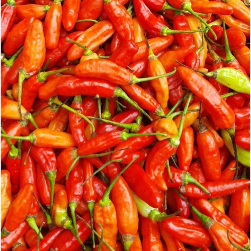 Jual Cabe Rawit Merah Fresh Segar 250gr | Shopee Indonesia
