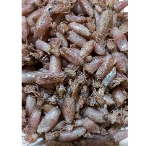 Jual BABYCUMI MEDAN BABY CUMI PREMIUM 1-2cm 1kg | Shopee Indonesia