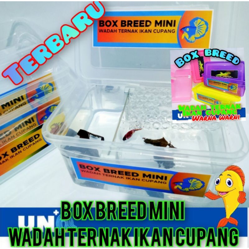 Jual MINI BOX BREED WADAH TERNAK PENJODOHAN IKAN CUPANG | Shopee Indonesia