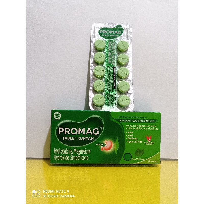 Jual Promag Tablet Kunyah 1 strip isi 10 tab Rasa Mint Segar | Shopee ...