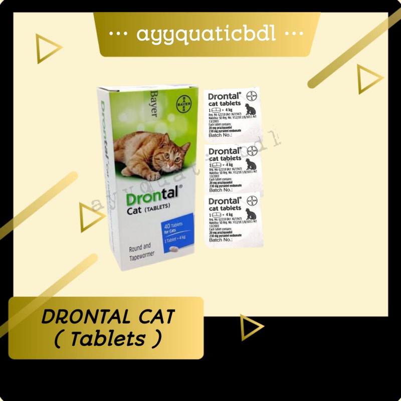Jual DRONTAL CAT KUCING 1 TABLET - Obat Cacing Hewan Kucing Cat Kitten ...
