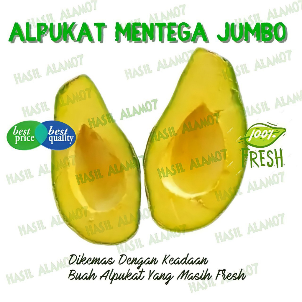 Jual Buah Alpukat Jumbo Avocado Mentega Segar Fresh Fruits 1 Kg ...