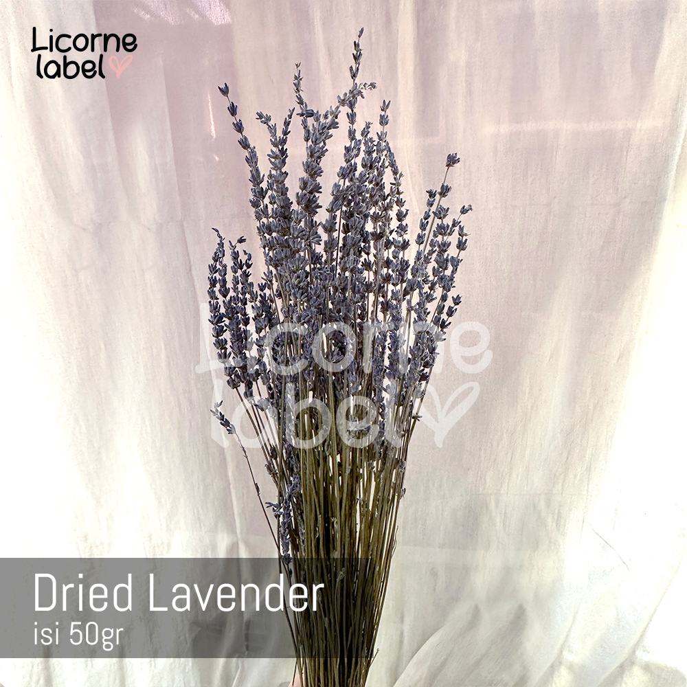 Jual Dried Lavender Bunga kering hias decor bundles isi 50gr | Shopee ...