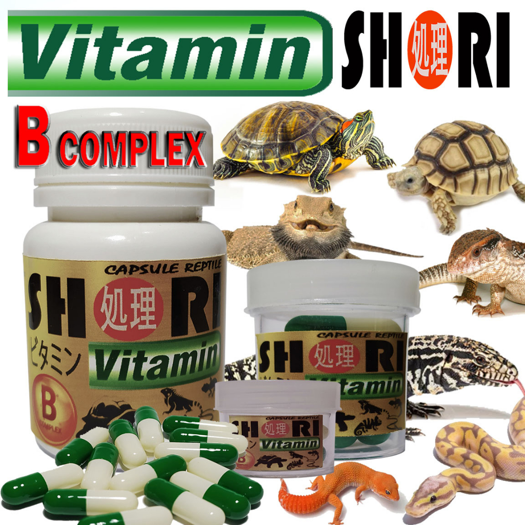 Jual SHORI VITAMIN KAPSUL REPTILE OBAT SUPLEMEN KESEHATAN HEWAN ...