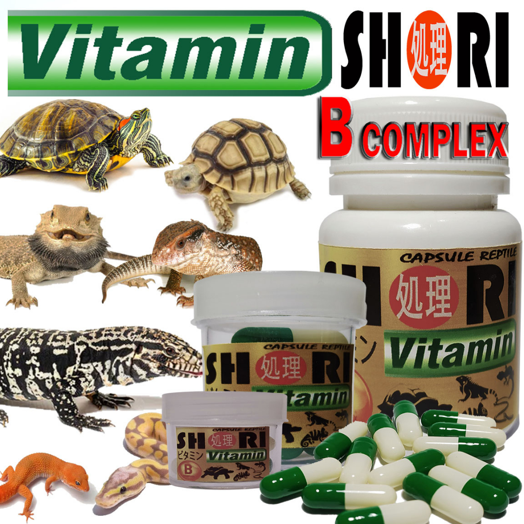 Jual SHORI VITAMIN KAPSUL OBAT SUPLEMEN REPTILE GECKO BD ULAR KURA ...
