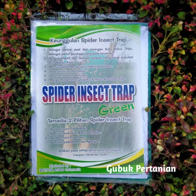 Jual SPIDER INSECT TRAP GREEN Perekat Atau Perangkap Hama Tanaman Isi ...
