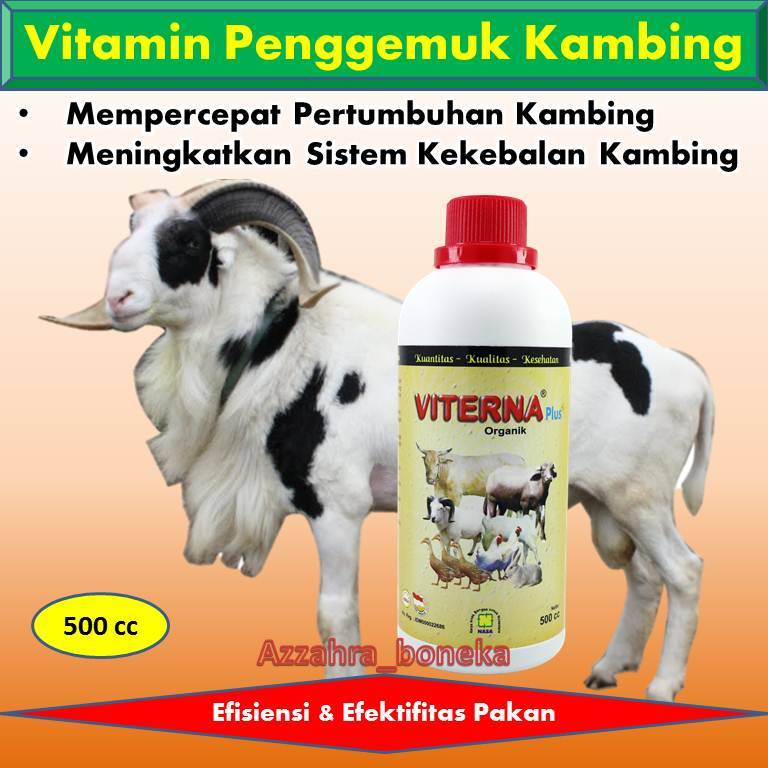 Jual Vitamin Penggemuk Ternak Kambing 500cc / Vitamin Kambing Cepat ...