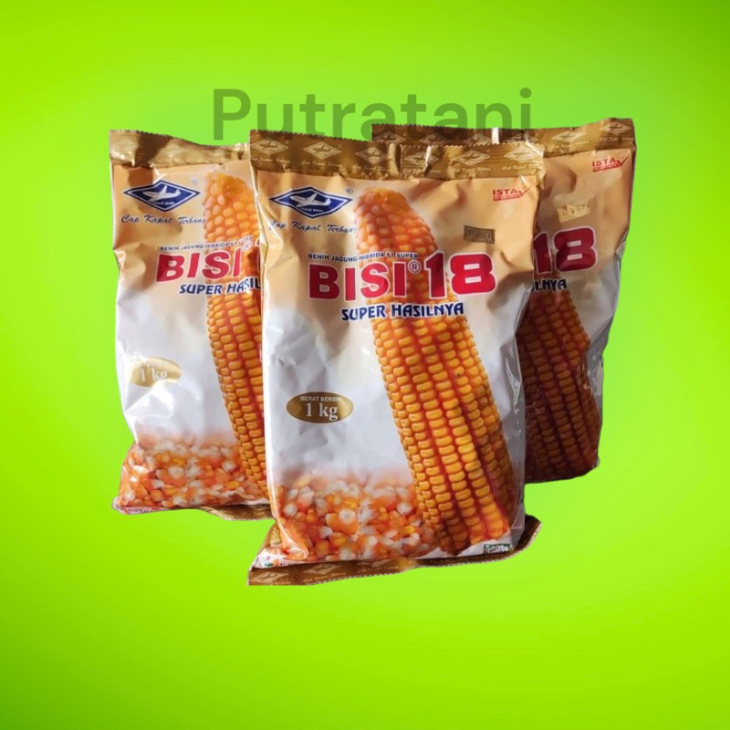 Jual Benih jagung hibrida Bisi 18 isi 1kg jagung bisi18 bibit jagung ...