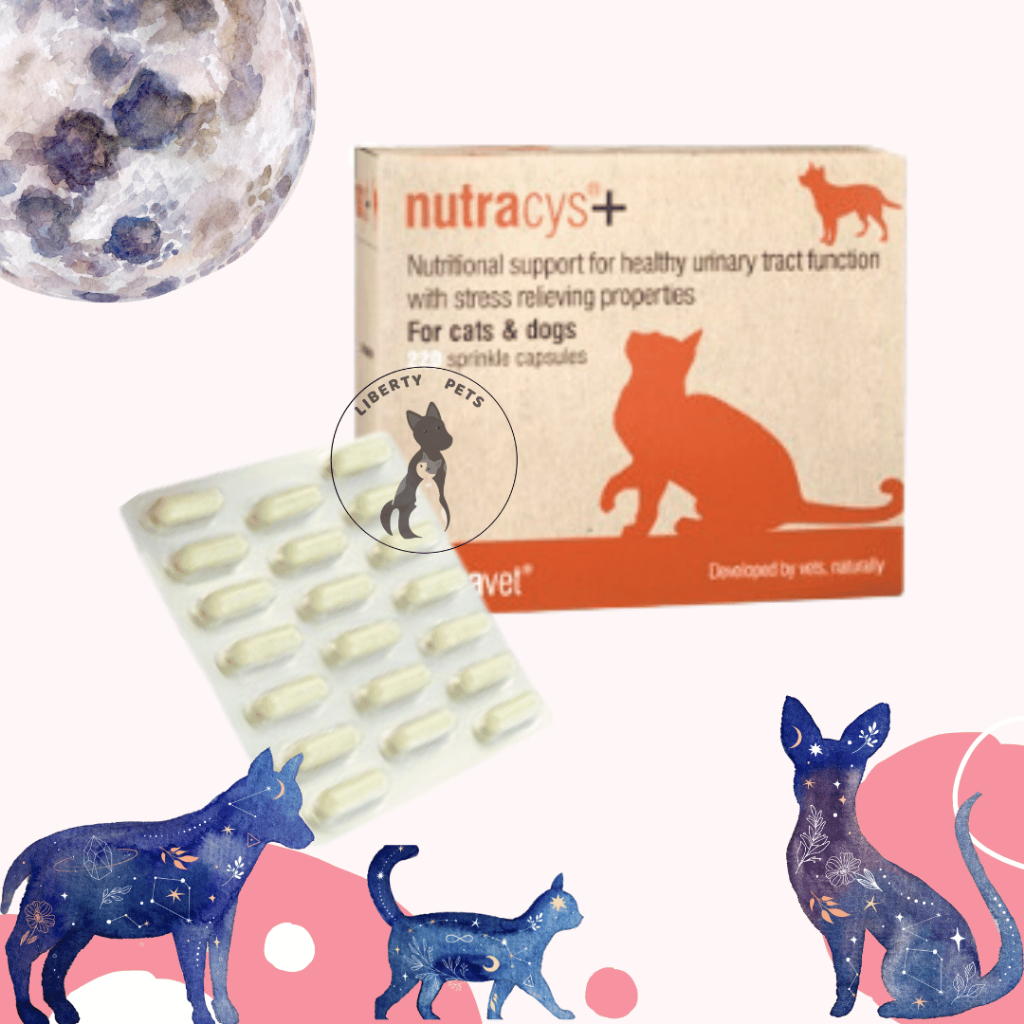 Jual Nutracys + Plus Urinary Tract Susah Kencing Berdarah FLUTD Cat Dog ...