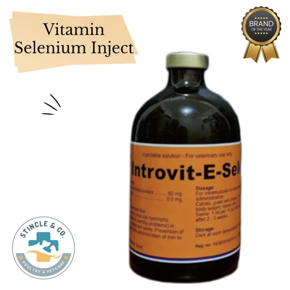 Jual INTROVIT E-SELEN Inject 100 ml - Vitamin Selenium Inject Untuk ...