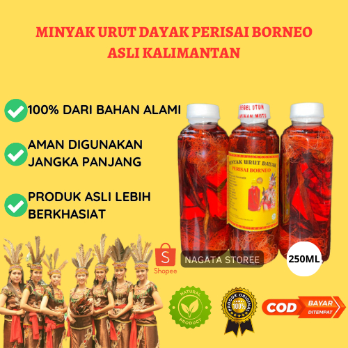 Jual Minyak Dayak Asli Kalimantan | Minyak Urut Dayak 100% Original ... Jual Minyak Dayak Asli Kalimantan | Minyak Urut Dayak 100% Original ...