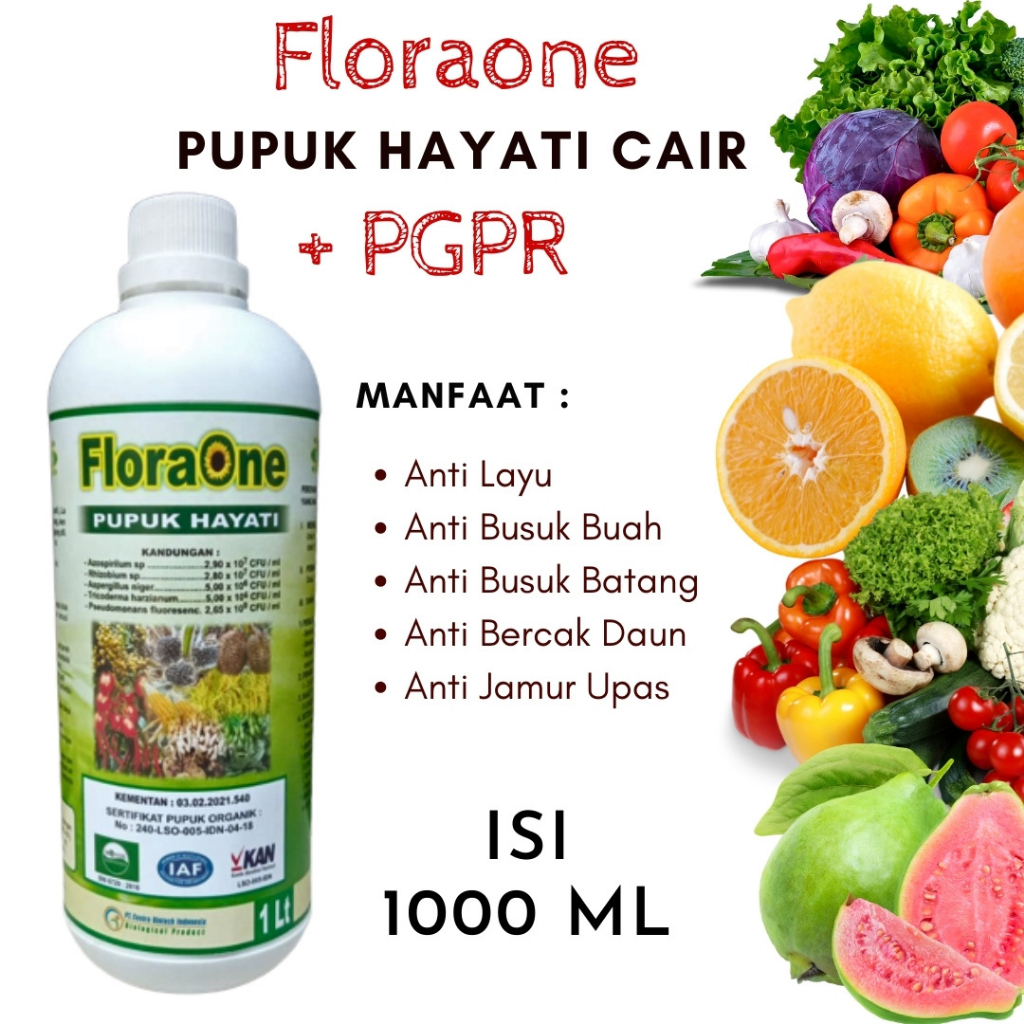 Jual Pupuk Organik Pelebat Untuk Booster Buah Tin, Pupuk PGPR Rhizobium ...