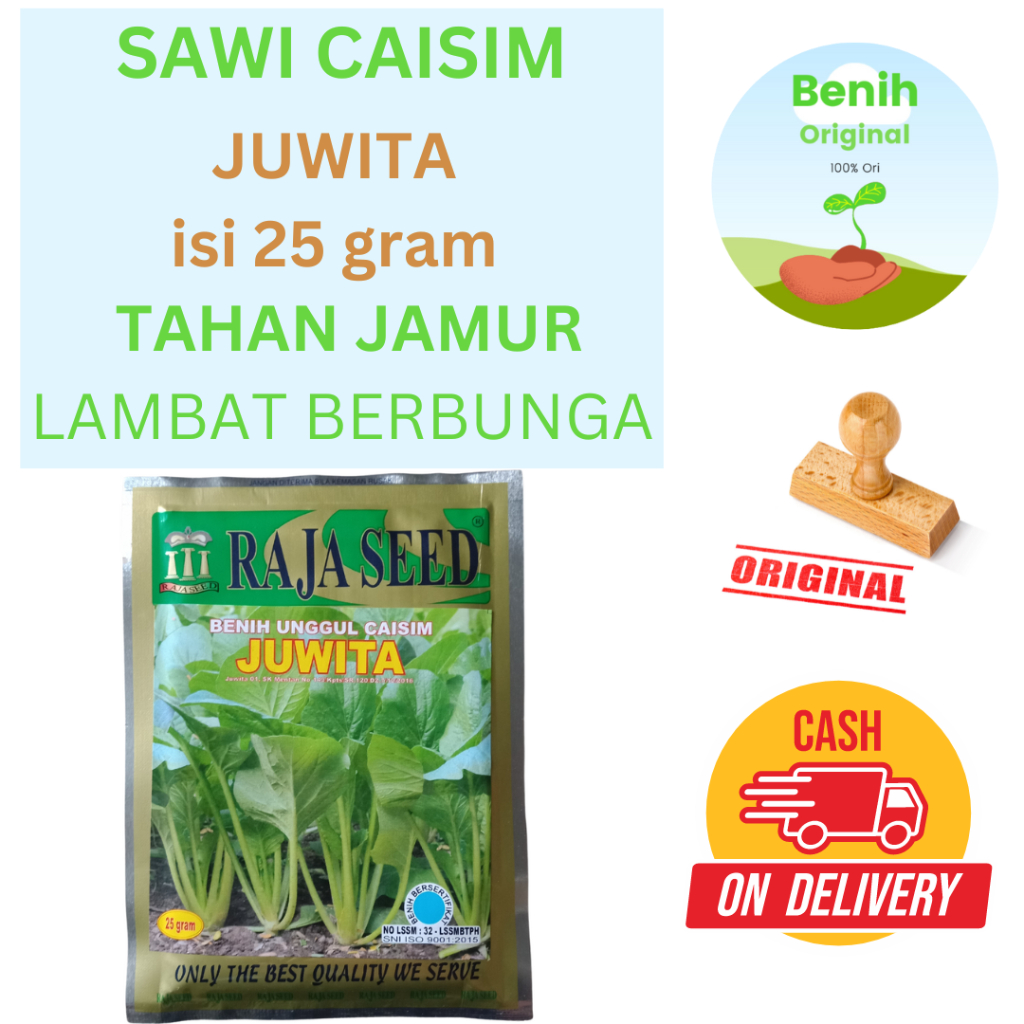 Jual JUWITA Benih Unggul Sawi Caisim Raja Seed isi 25 gram Bibit ...