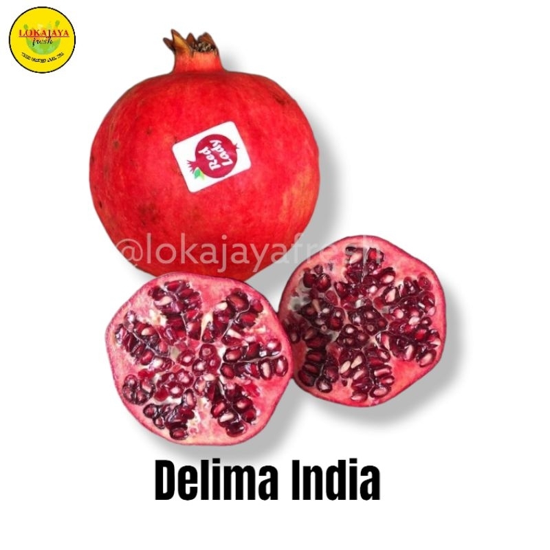 Jual Delima Merah India 1 pcs | Shopee Indonesia