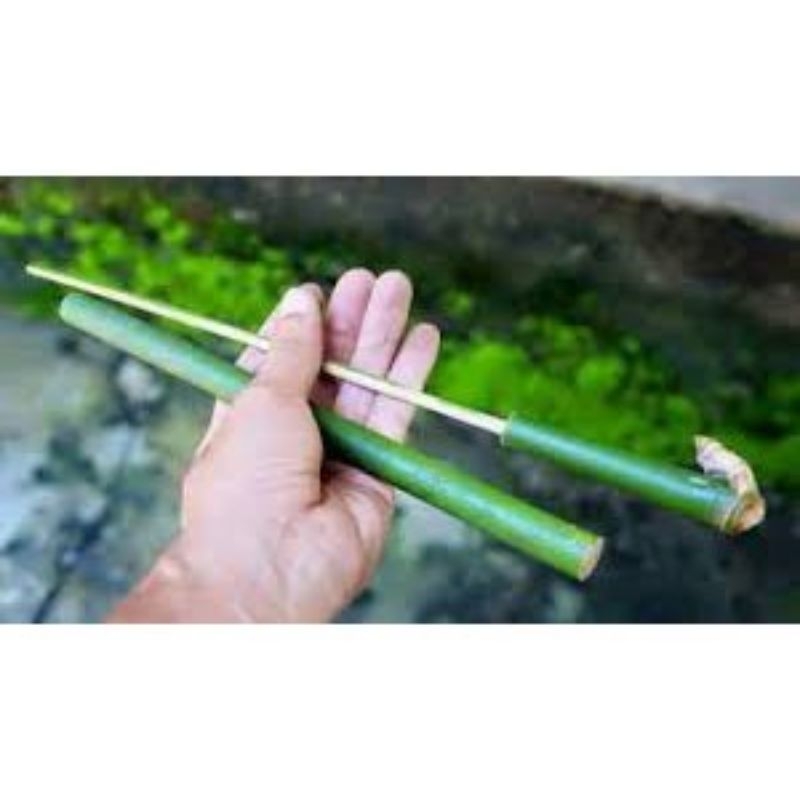 Jual mainan pestol dari bambu peletokan dari bambu mainan tradisional ...