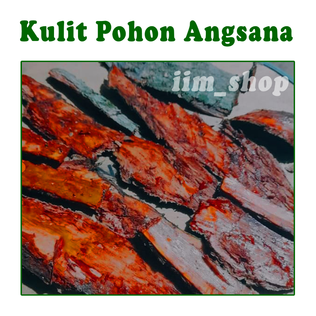 Jual Kulit Pohon Angsana 1 Pack | Shopee Indonesia