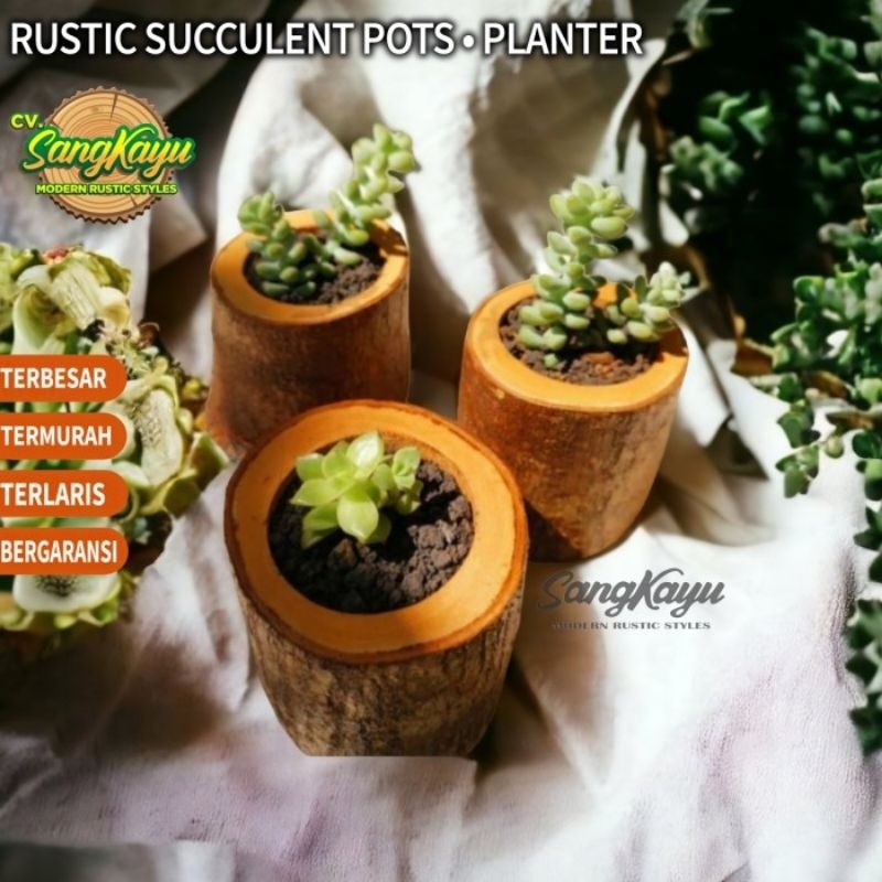 Jual Natural wood log planters succulent pot vas bunga kayu kaktus2 ...
