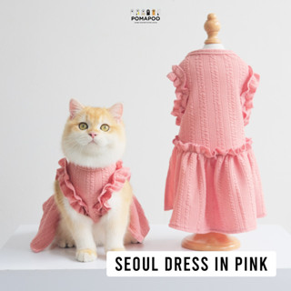 Jual POMAPOO - Baju Kucing dan Baju Anjing Seoul Dress | Shopee Indonesia