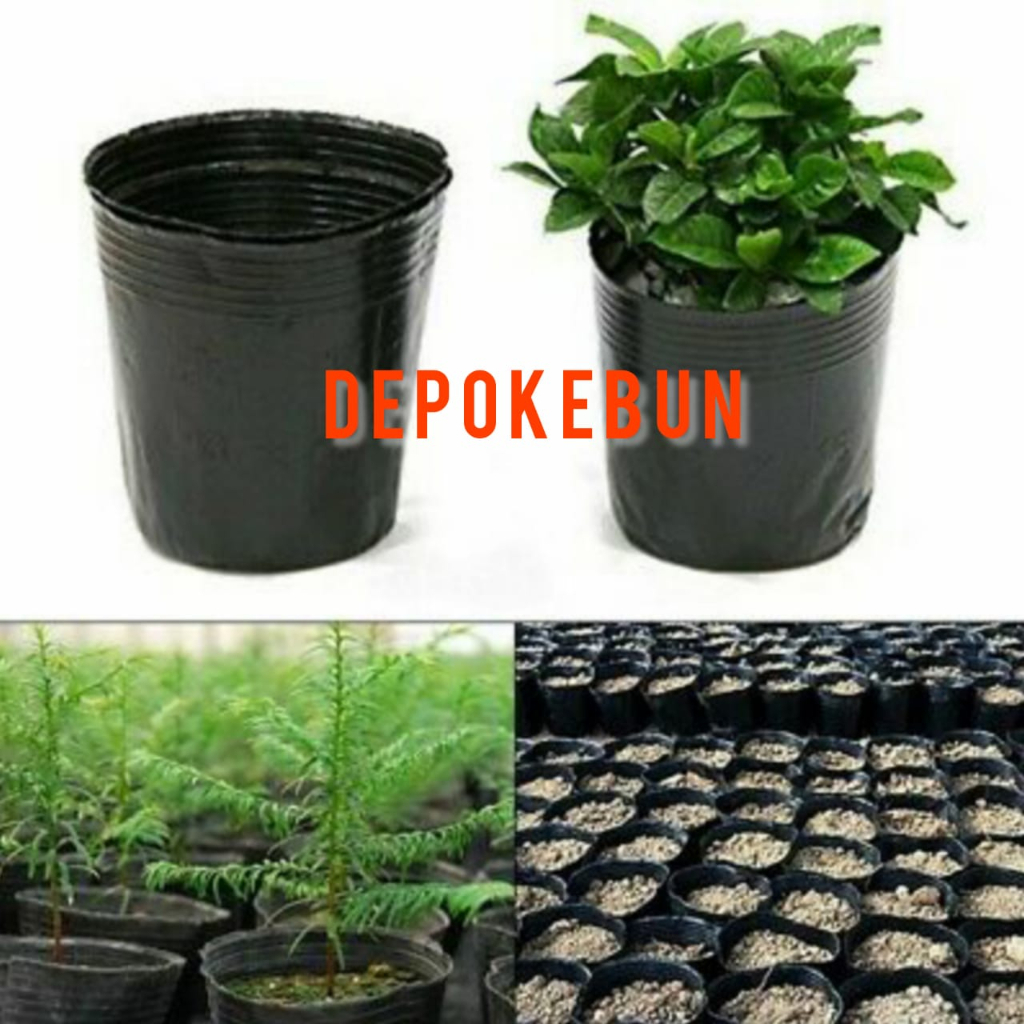 Jual Polypot 18 x 18 Polybag Cetak Bentuk Pot Semai Bibit Tanaman Isi ...