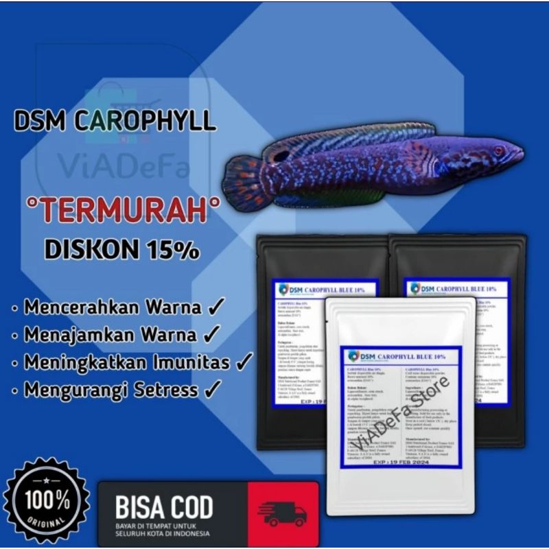 Jual Carophyll Original Varian Blue 5gr | Shopee Indonesia