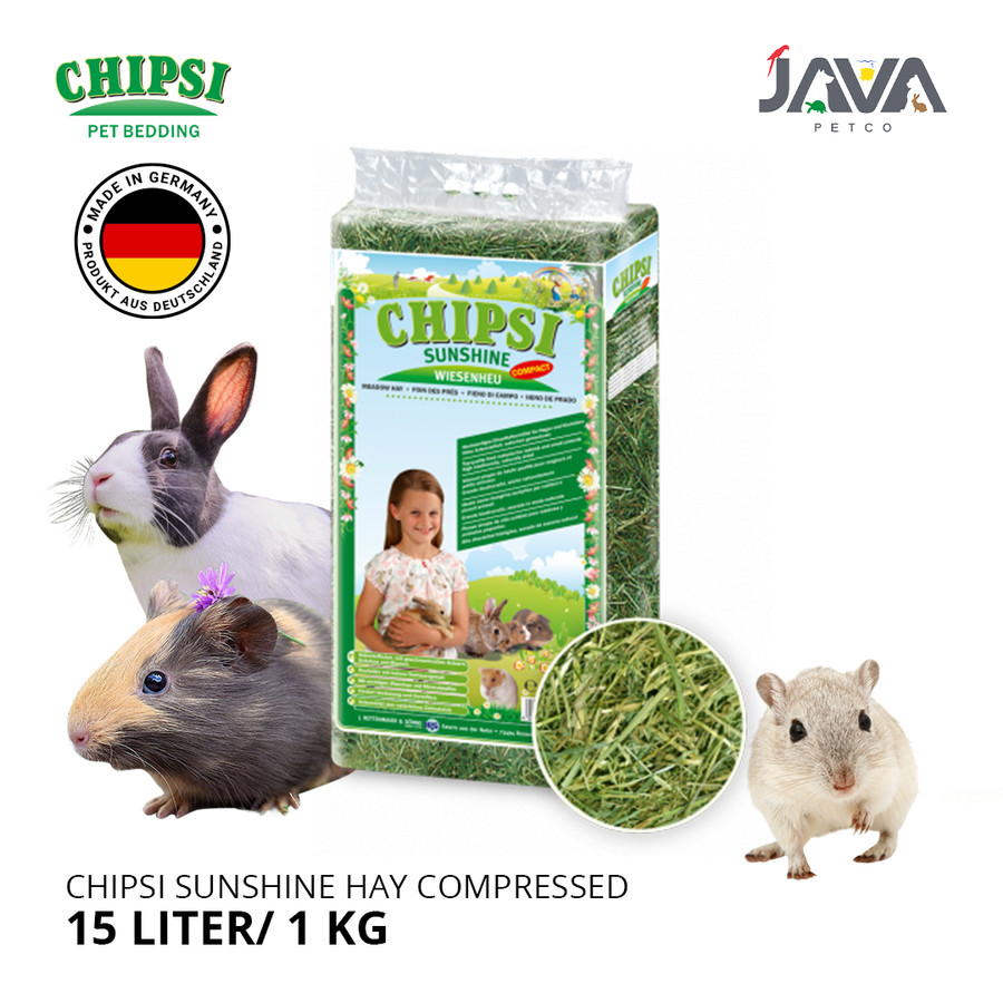 Jual CHIPSI Sunshine Hay - Rumput Makanan Kelinci/Marmut/Chinchilla 1 ...