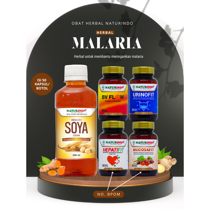 Jual Obat Herbal Demam Berdarah Dengue Malaria DB Debe Infeksi Gigitan ...