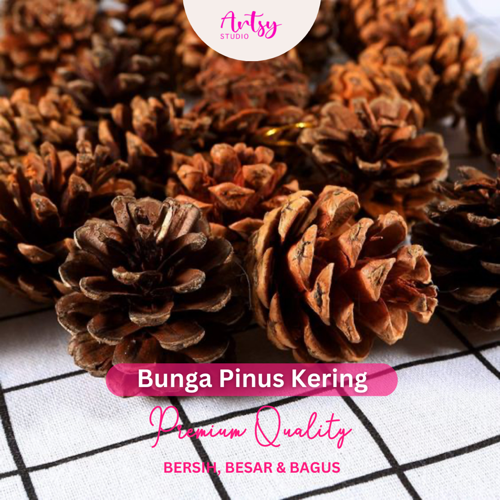 Jual ARTSY STUDIO Bunga Pinus Kering Buah Pinus Pine Cone Properti Foto ...