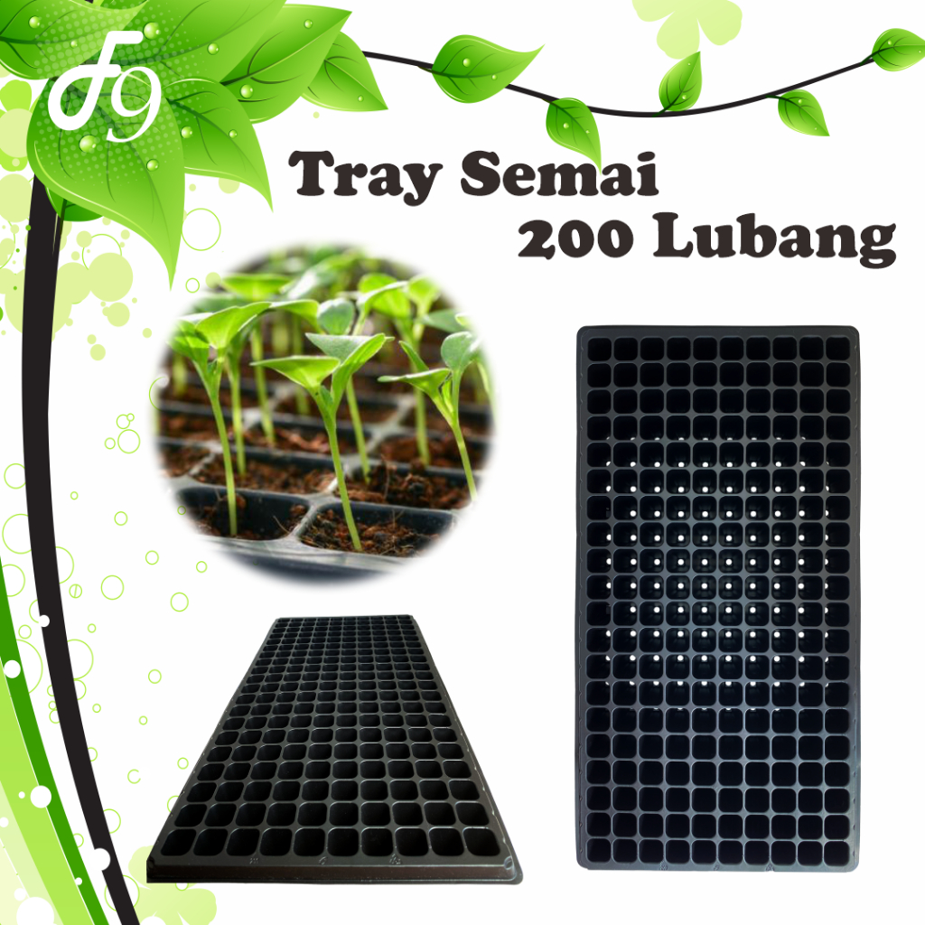 Jual Tray Semai Bibit Seeding Tray 200 Lubang Tanam | Shopee Indonesia
