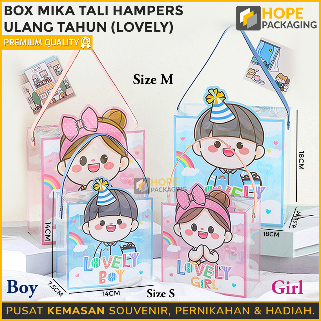 Jual Gift Box Mika Tali Hampers Ulang Tahun Motif Lovely / Paper Bag ...